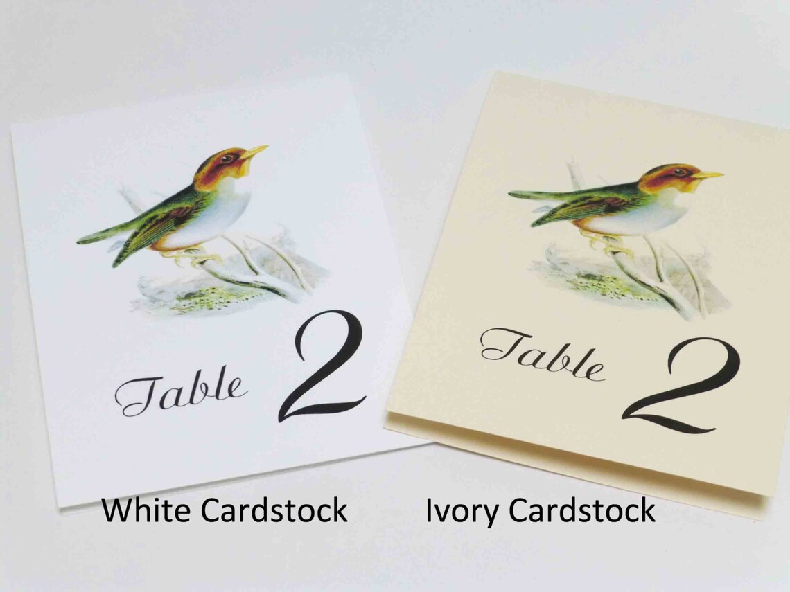 Bird Table NUMBERS Bird table tent cards Wedding Table Cards | Etsy