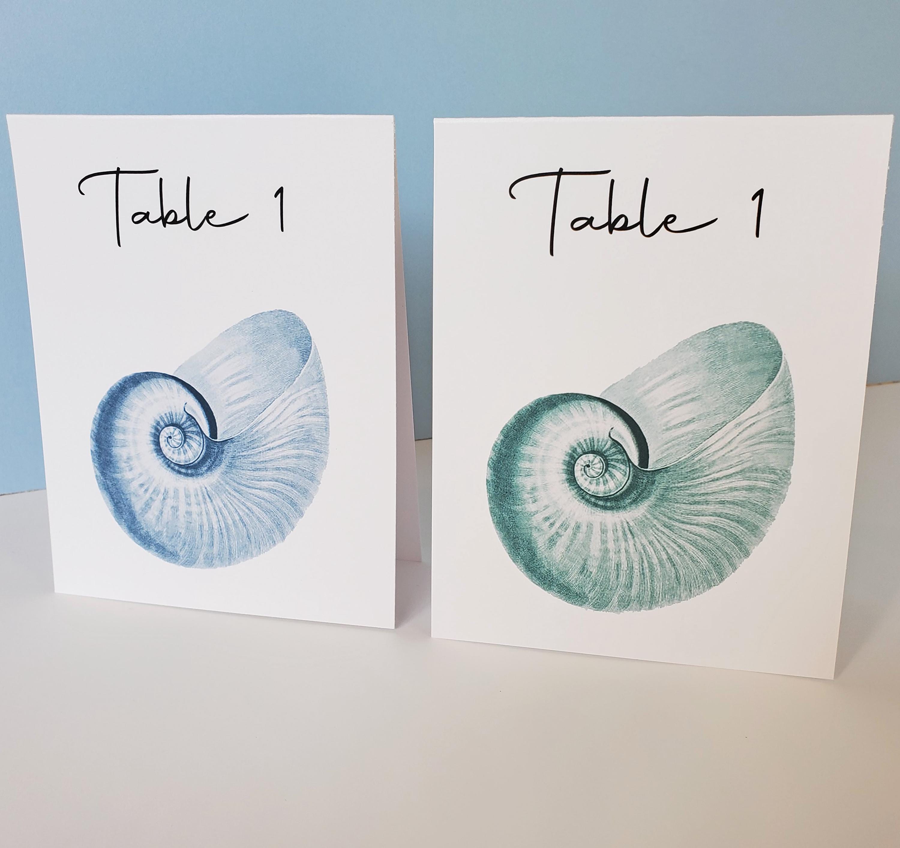 Blue or Aqua Shell Cards, Beach Wedding, Shell Table Numbers, Surf and ...
