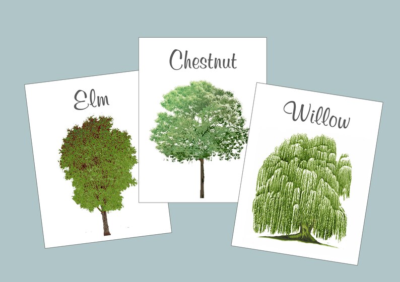 Tree Table Cards Botanical Cards Woodland Table Tents | Etsy