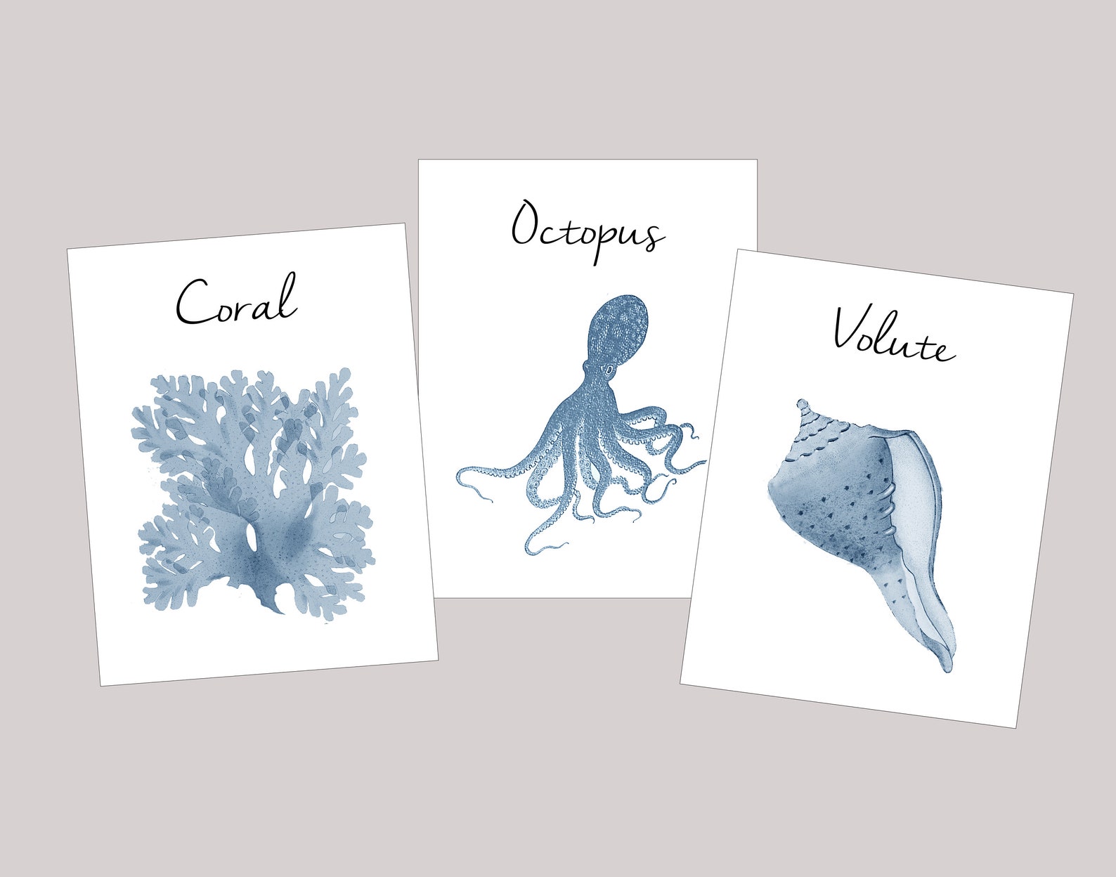 Shell Name Table Cards Beach Wedding Shell Cards Surf and - Etsy