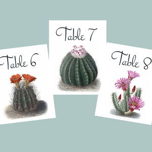 Cactus Table Numbers Desert Table Tents Cactus Table Cards - Etsy