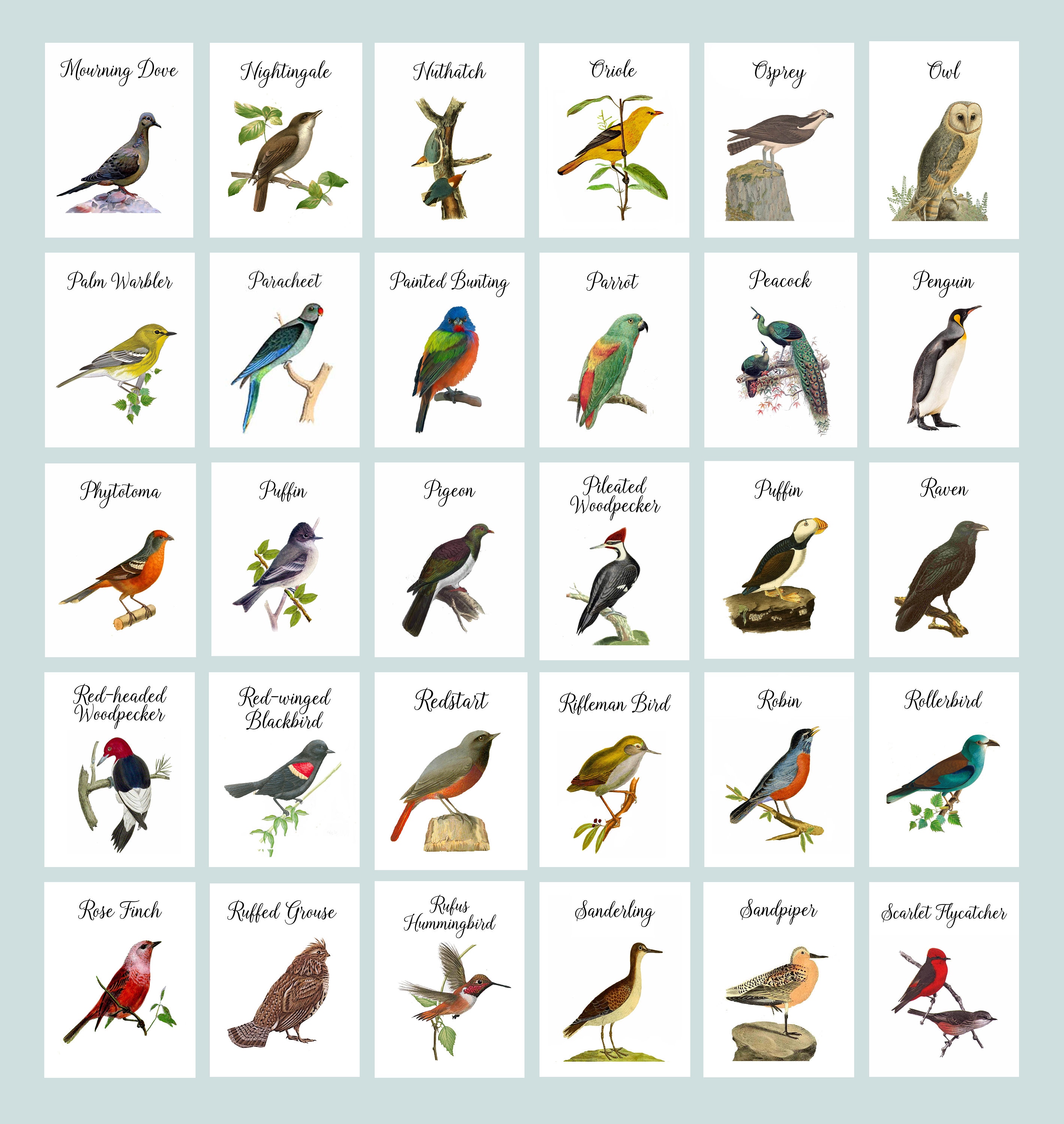 Bird Table Cards, Table Numbers, Bird Theme, Wedding Table Cards ...