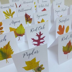 Autumn Leaf Table Cards, Autumn Leaf Table Tents, Autumn Wedding Table ...