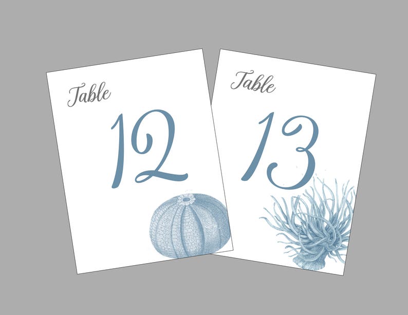 Shell Table Numbers Beach Wedding Shell Cards Surf and Turf - Etsy