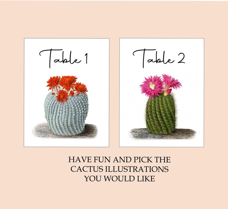 Cactus Table Numbers, Desert Table Tents, Cactus Table Cards, Desert ...
