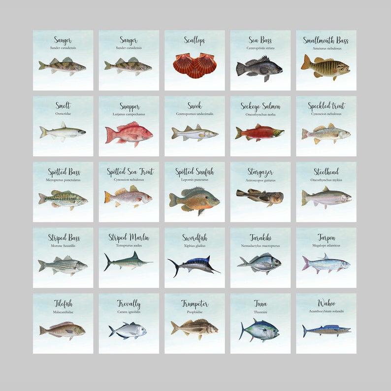 Fish Seating Charts Fishing Seating Cards Fish Seating - Etsy