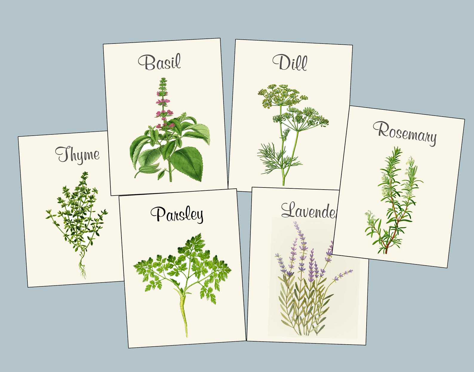 Herb Table Cards Herb Table Numbers Herb Table Tents Herb | Etsy