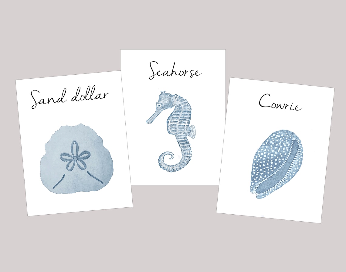 Shell Name Table Cards, Beach Wedding, Shell Cards, Surf and Turf ...