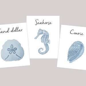 Shell Name Table Cards, Beach Wedding, Shell Cards, Surf and Turf ...