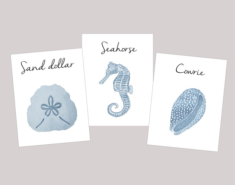 Shell Name Table Cards Beach Wedding Shell Cards Surf and - Etsy