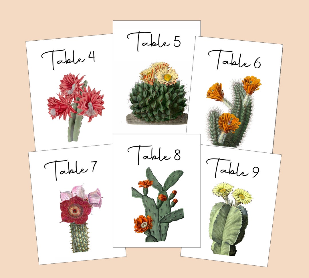Cactus Table Numbers, Desert Table Tents, Cactus Table Cards, Desert ...