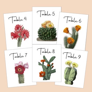 Cactus Table Numbers, Desert Table Tents, Cactus Table Cards, Desert ...