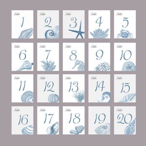 Shell Numbered Seating Cards, Beach Seating Cards, Table Assignments ...