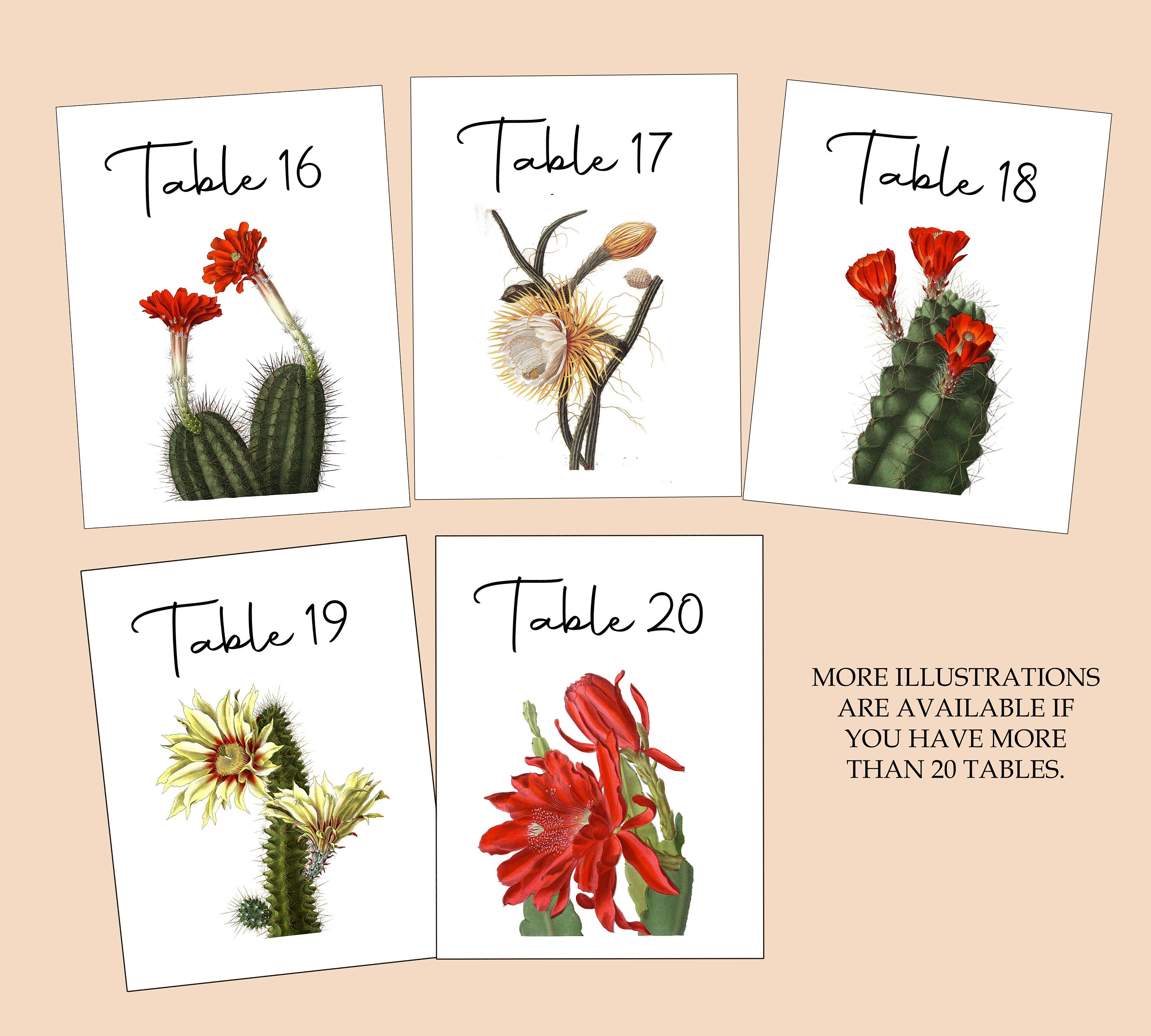Cactus Table Numbers, Desert Table Tents, Cactus Table Cards, Desert ...