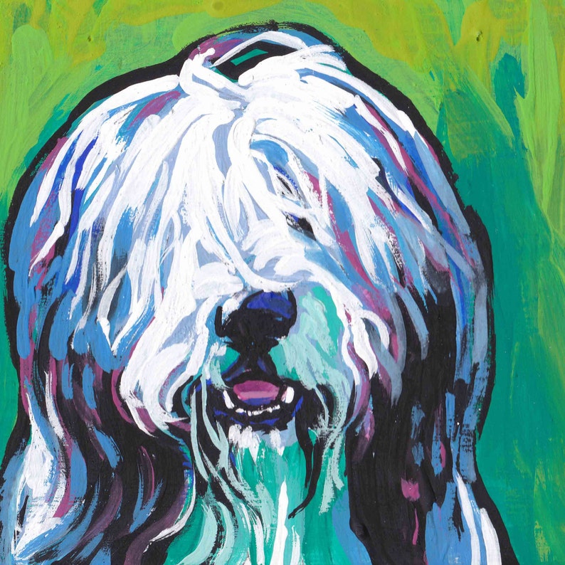 BEARDED COLLIE Beardie Dog Art Print Pop Art Bright Colorful - Etsy