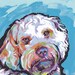 Cockapoo art print of pop dog art painting bright colors 8x8 | Etsy