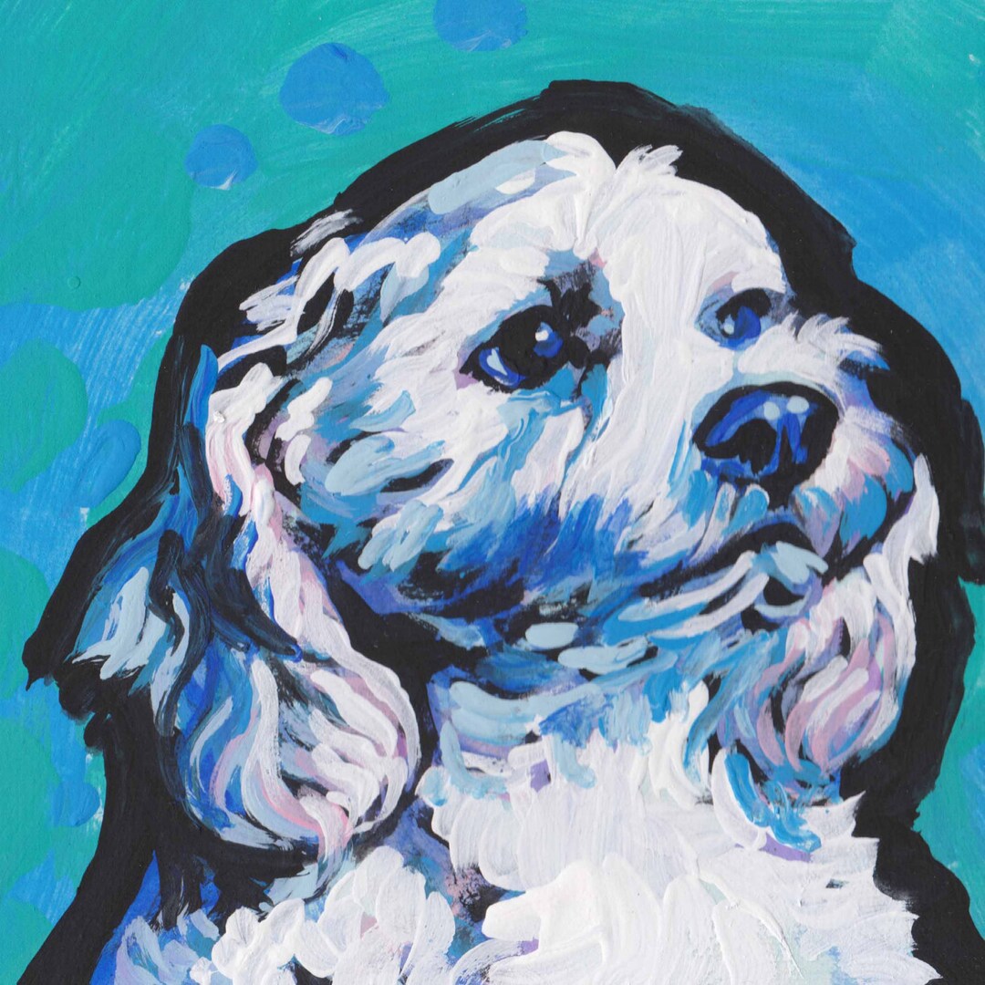 COCK A CHON Portrait Dog Art Print of Pop Art Painting 12x12" Cocker ...