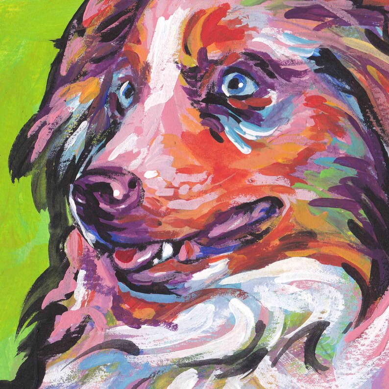 Red Merle Australian Shepherd Art Print of AUSSIE POP ART Dog - Etsy