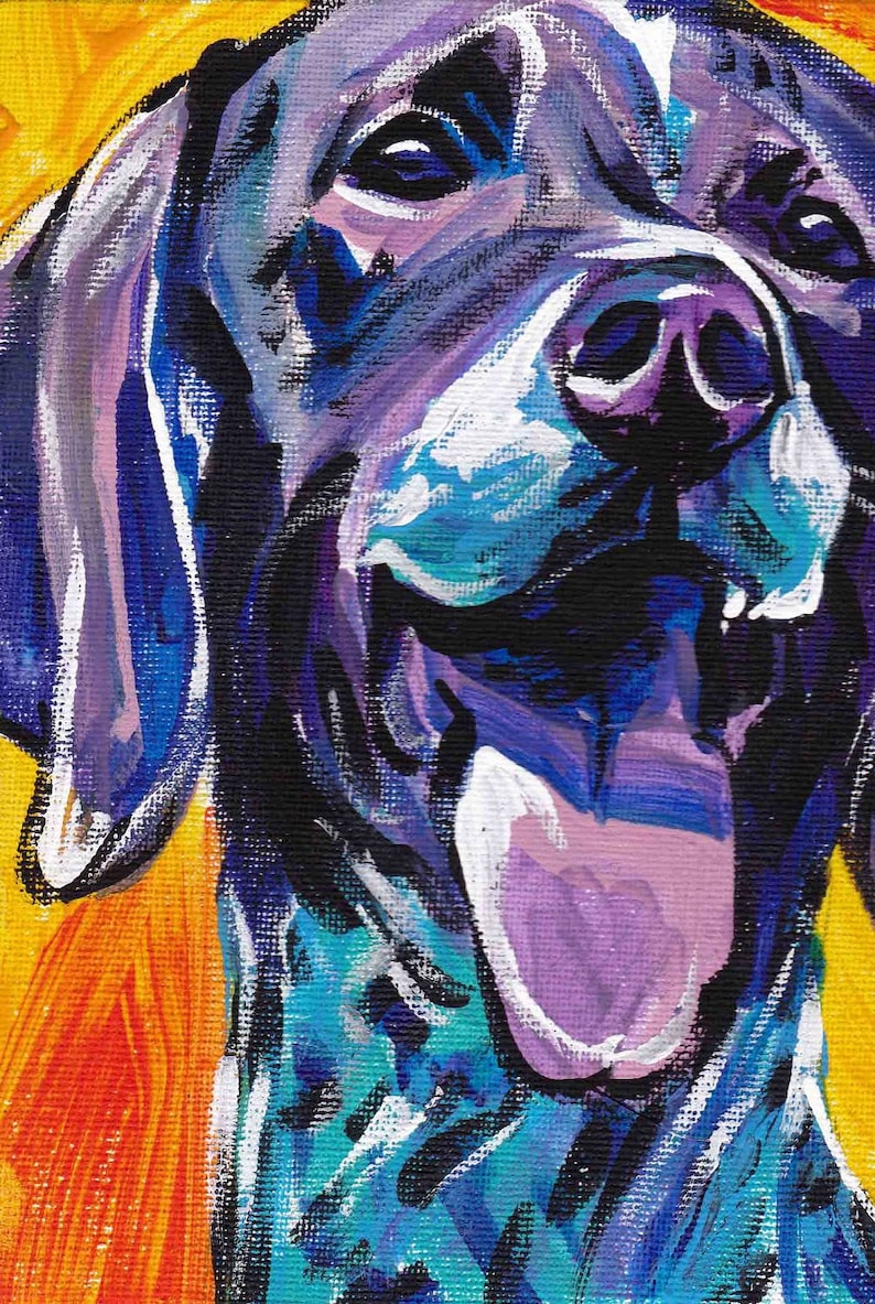 German Shorthaired Pointer Gsp Art Print Pop Dog Art Bright - Etsy