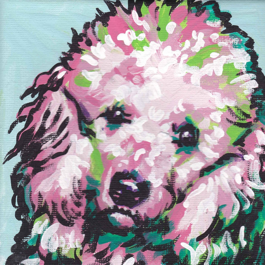 Miniature Toy POODLE Dog ART PRINT Pop Art Bright Colors 12x12 - Etsy