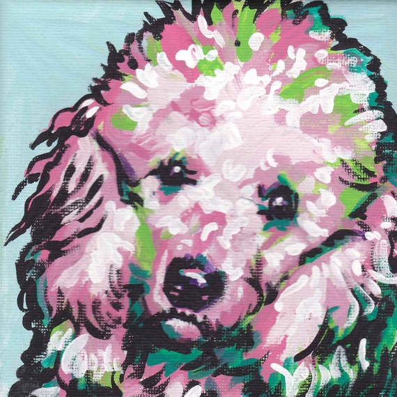 Miniature toy POODLE dog ART PRINT pop art bright colors 12x12 | Etsy
