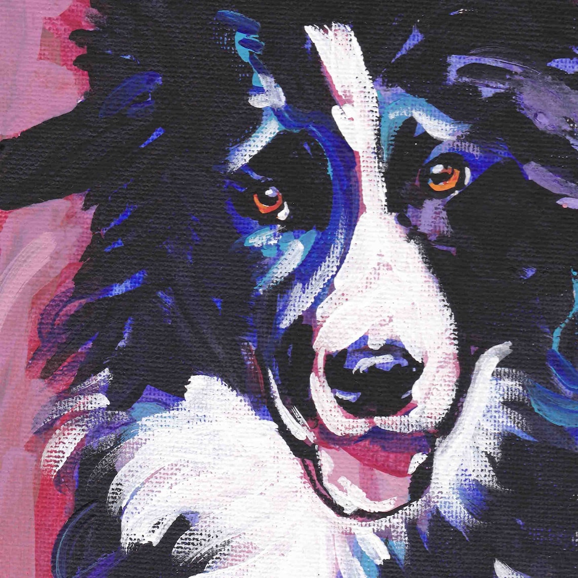 BORDER COLLIE Dog Art PRINT Pop Art Bright Colors 8X8 - Etsy