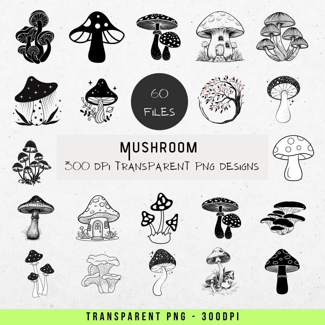 Mushroom Clipart Bundle PNG, Botanical Mushroom Illustrations, Nature ...