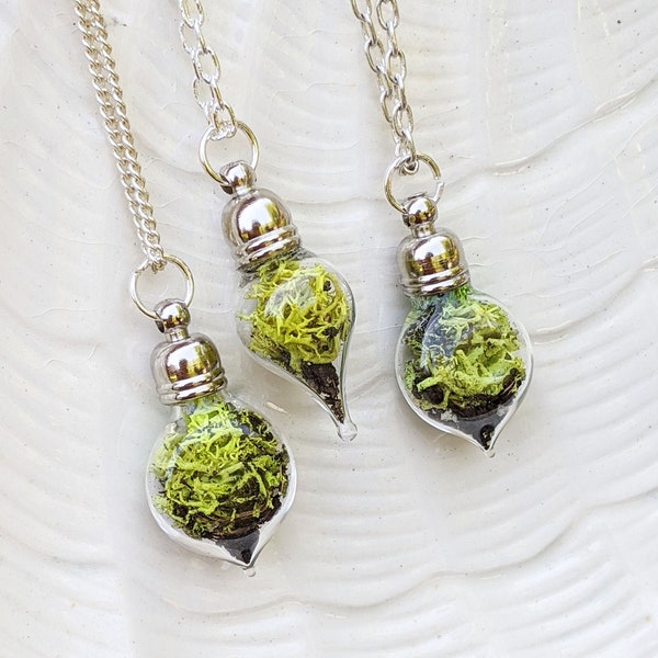 Terrarium - Etsy