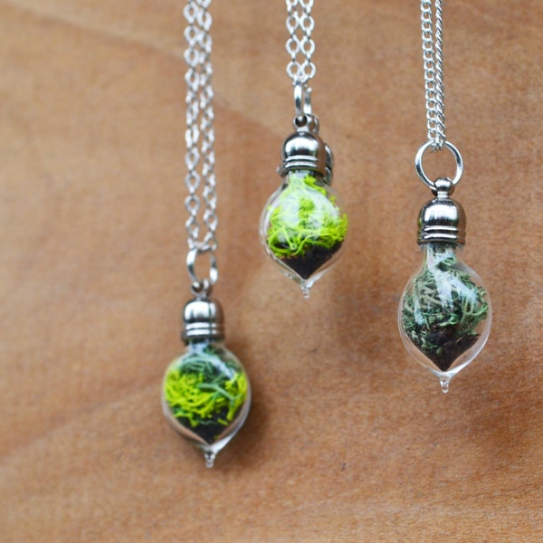 Terrarium Necklace - Etsy