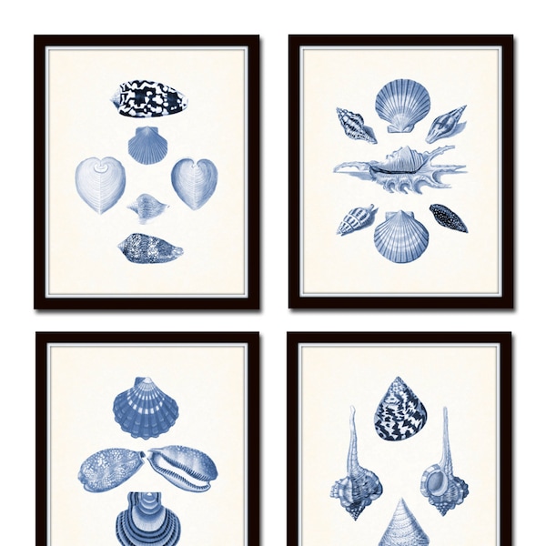 Navy Seashell Art - Etsy