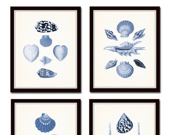 Seashell Art Print - Etsy