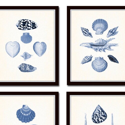 Blue Vintage Seashell Print Set No. 1 Antique Shell Prints | Etsy
