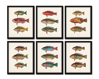 Tropical fish art | Etsy