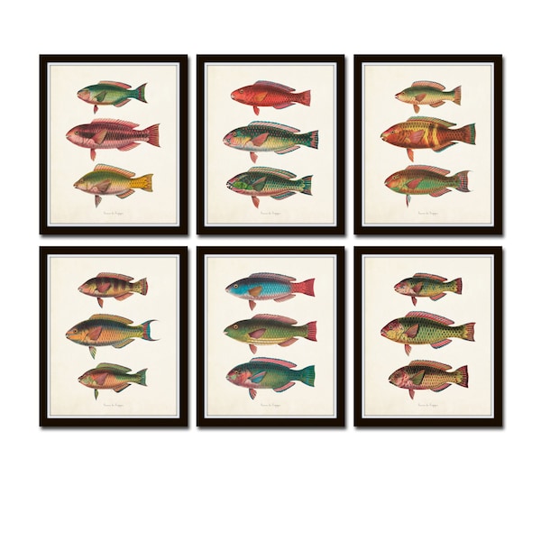 Tropical Fish Prints - Etsy