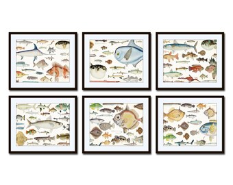 Tropical fish art | Etsy