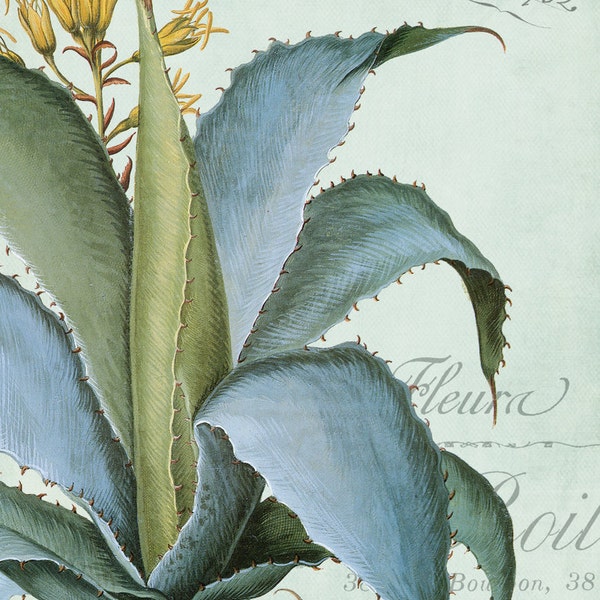 Botanical Collage - Etsy