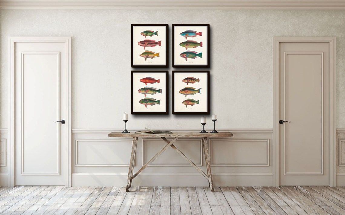 Vintage Tropical Fish Print Set No.3 Fish Prints Giclee - Etsy