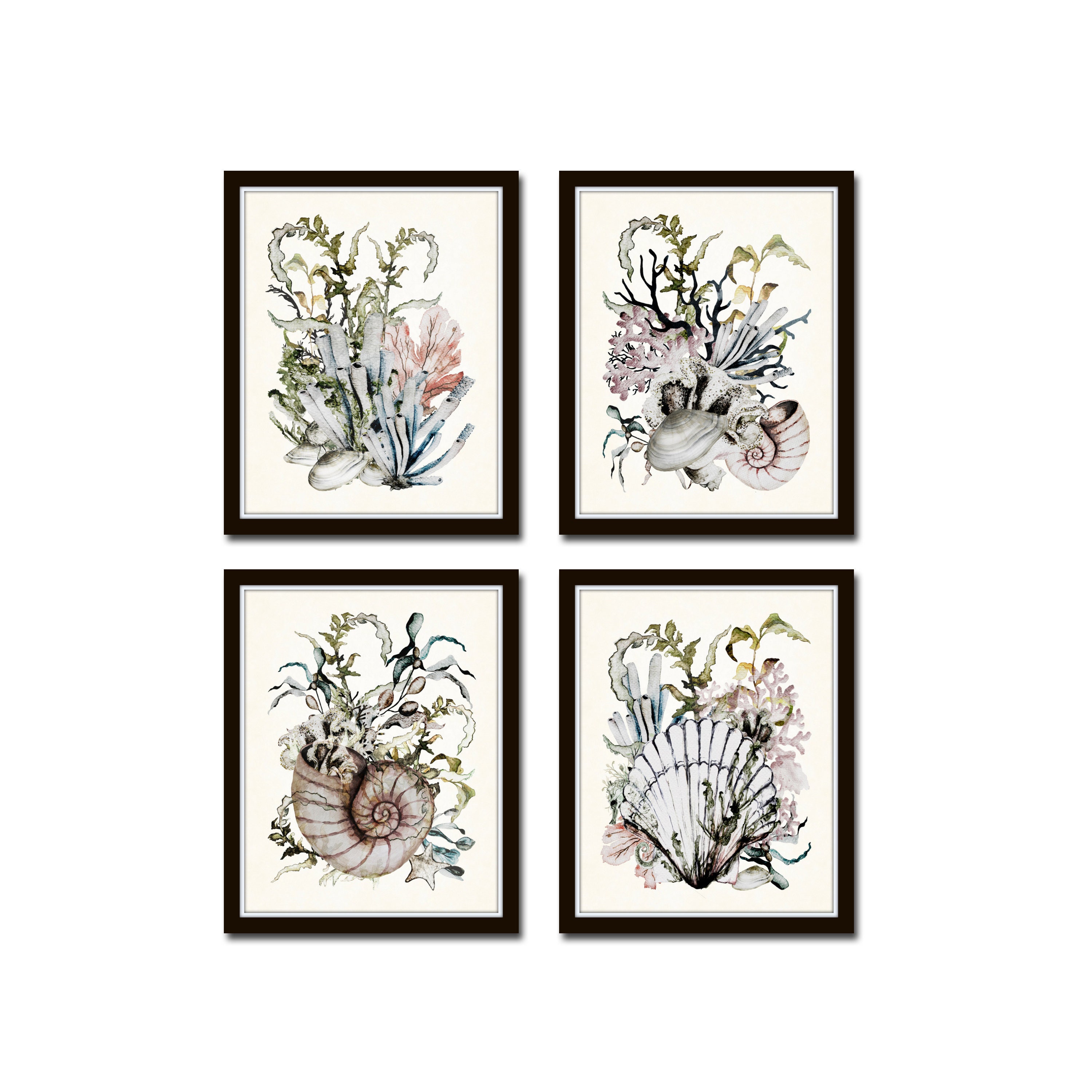 Watercolor Sea Life Giclee Art Prints, Coastal Collage Set - Etsy