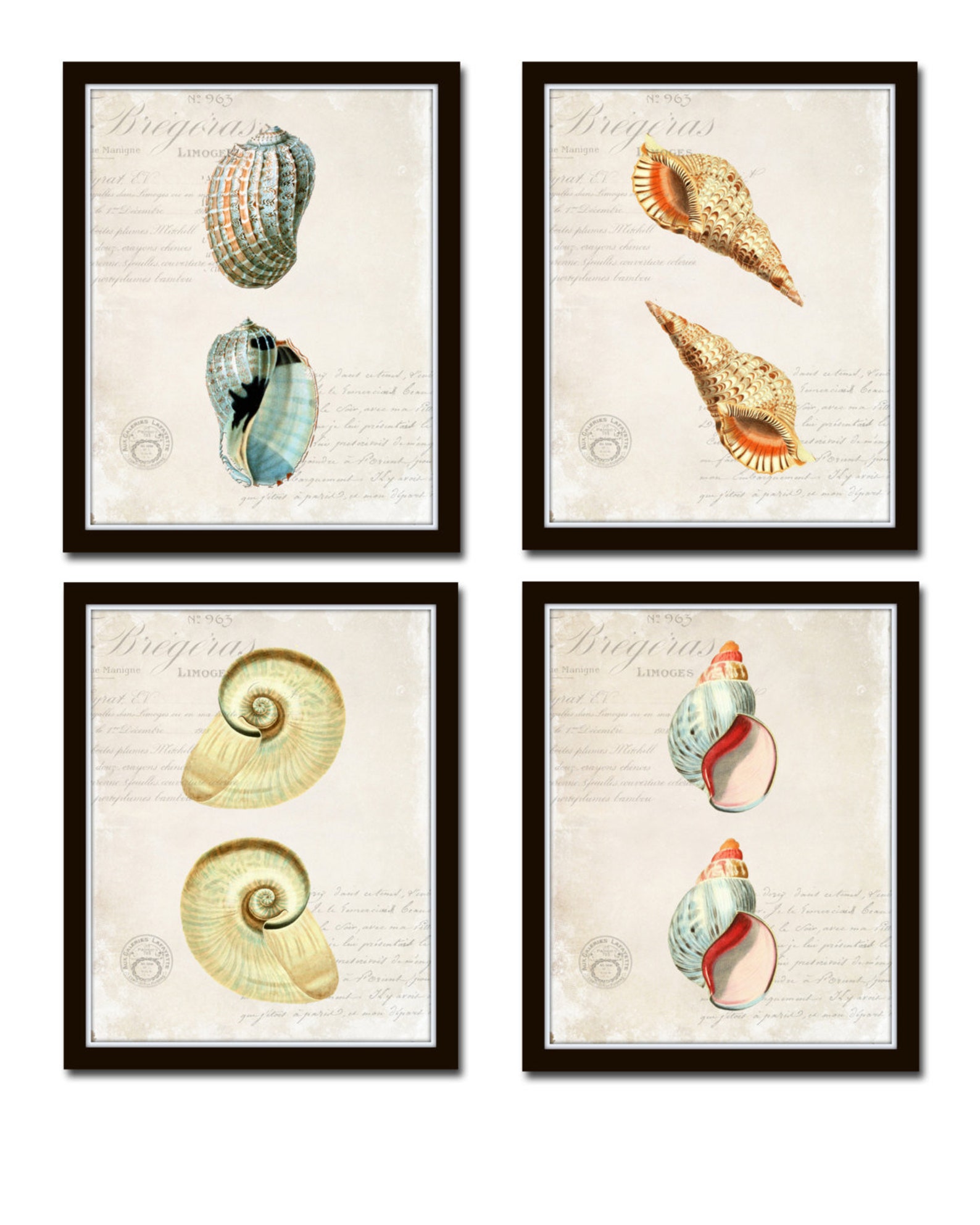 Seashell Collage Print Set No. 4 Antique Seashell Print Set - Etsy