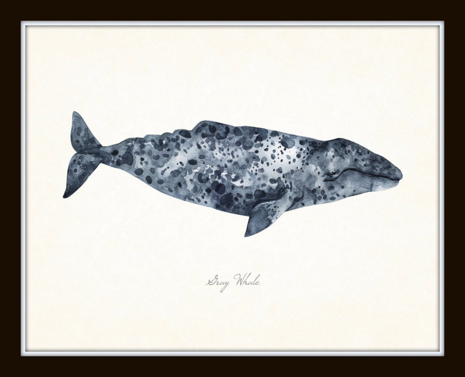 Watercolor Whales Print Set No. 8, Whale Prints, Giclee, Watercolor Sea ...
