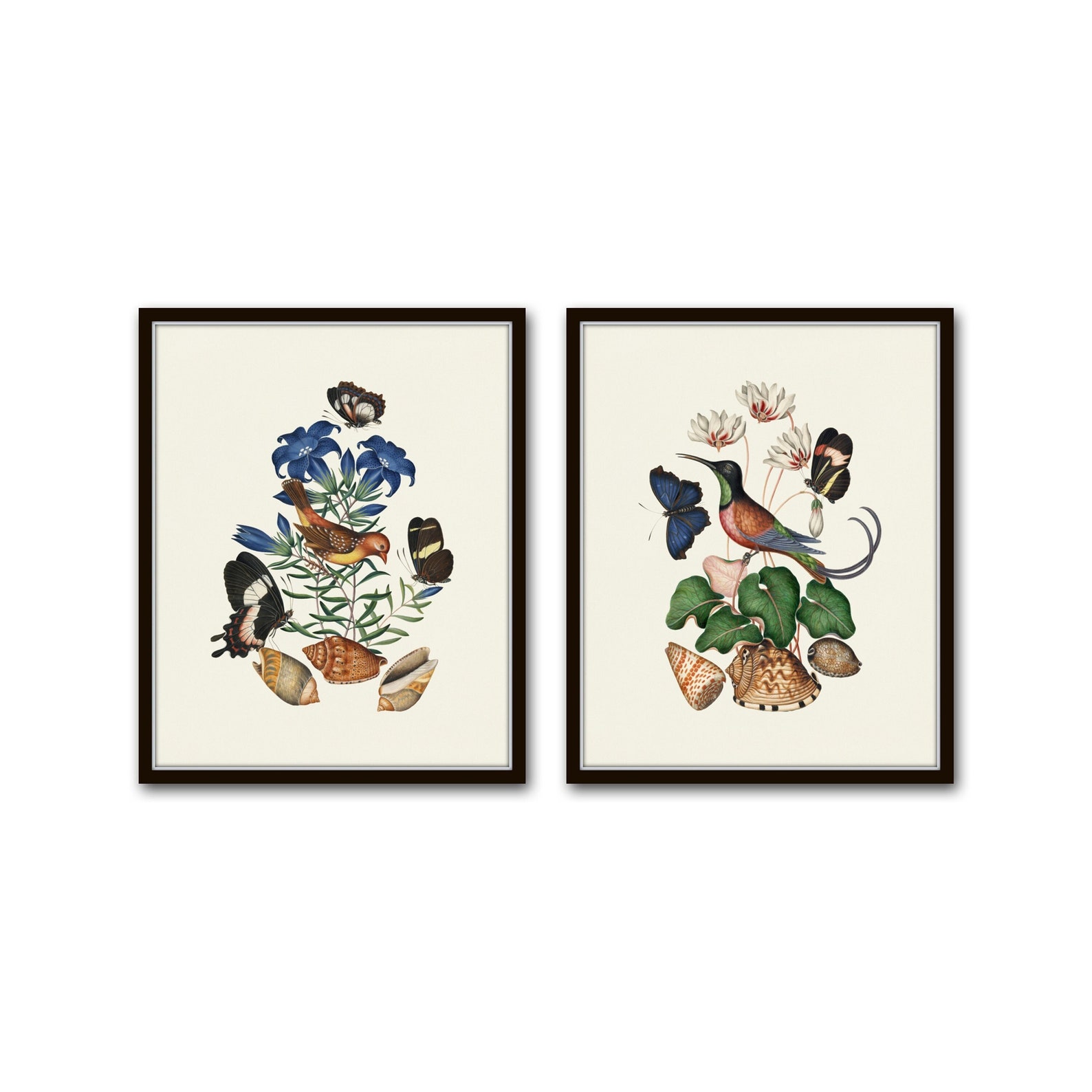 Vintage Birds With Seashells and Butterflies Print Set - Etsy