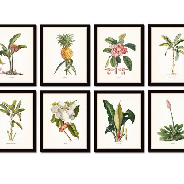Botanical Prints - Etsy