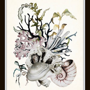 Watercolor Sea Life Giclee Art Prints, Coastal Collage Set - Etsy