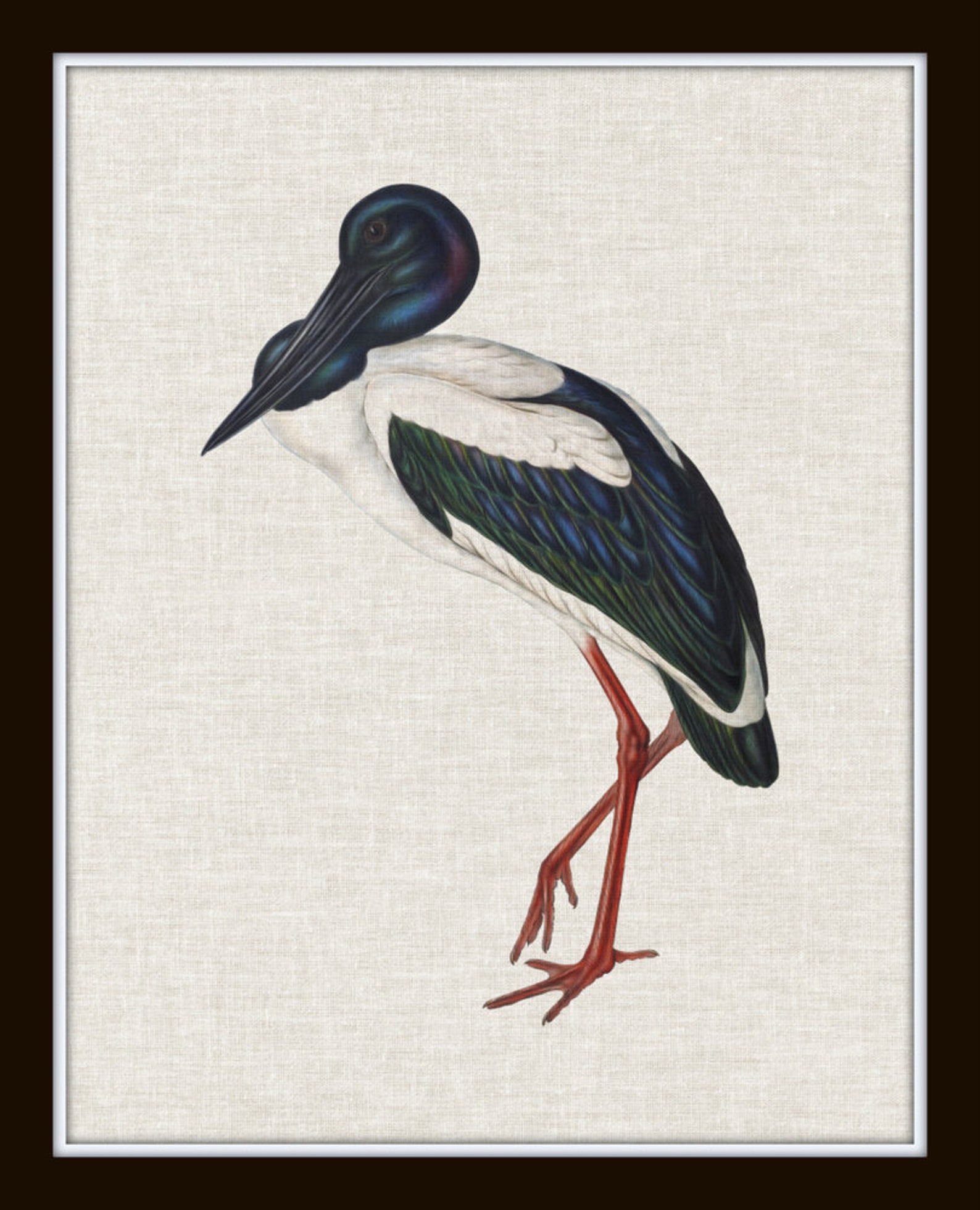 Tropical Sea Birds Set of 6, Vintage Bird Prints, Giclee, Coastal Art ...