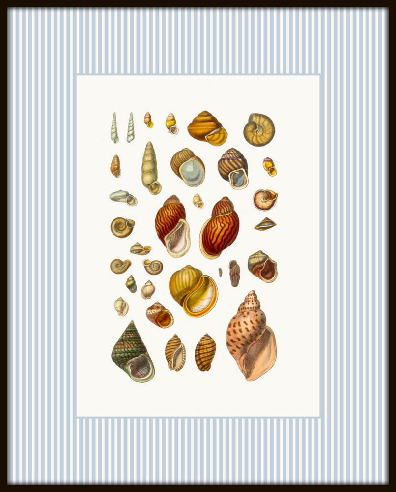 Blue Striped Vintage Seashell Print Set, Coastal Art, Coastal Decor ...