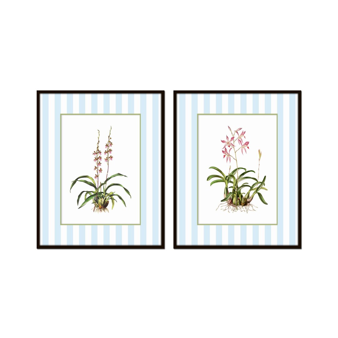 Vintage Orchid Giclee Print Set, Blue Striped Botanical Art, Coastal ...