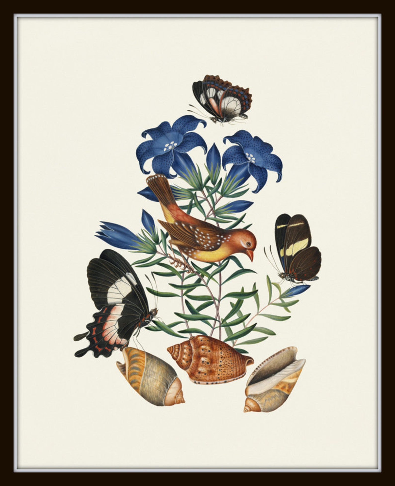Vintage Birds With Seashells and Butterflies Print Set - Etsy
