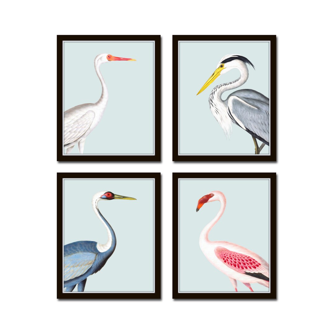 Tropical Sea Bird Portraits No. 1, Sea Bird Art, Giclee, Art Print ...