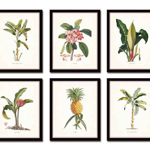 Botanical Print Set - Etsy