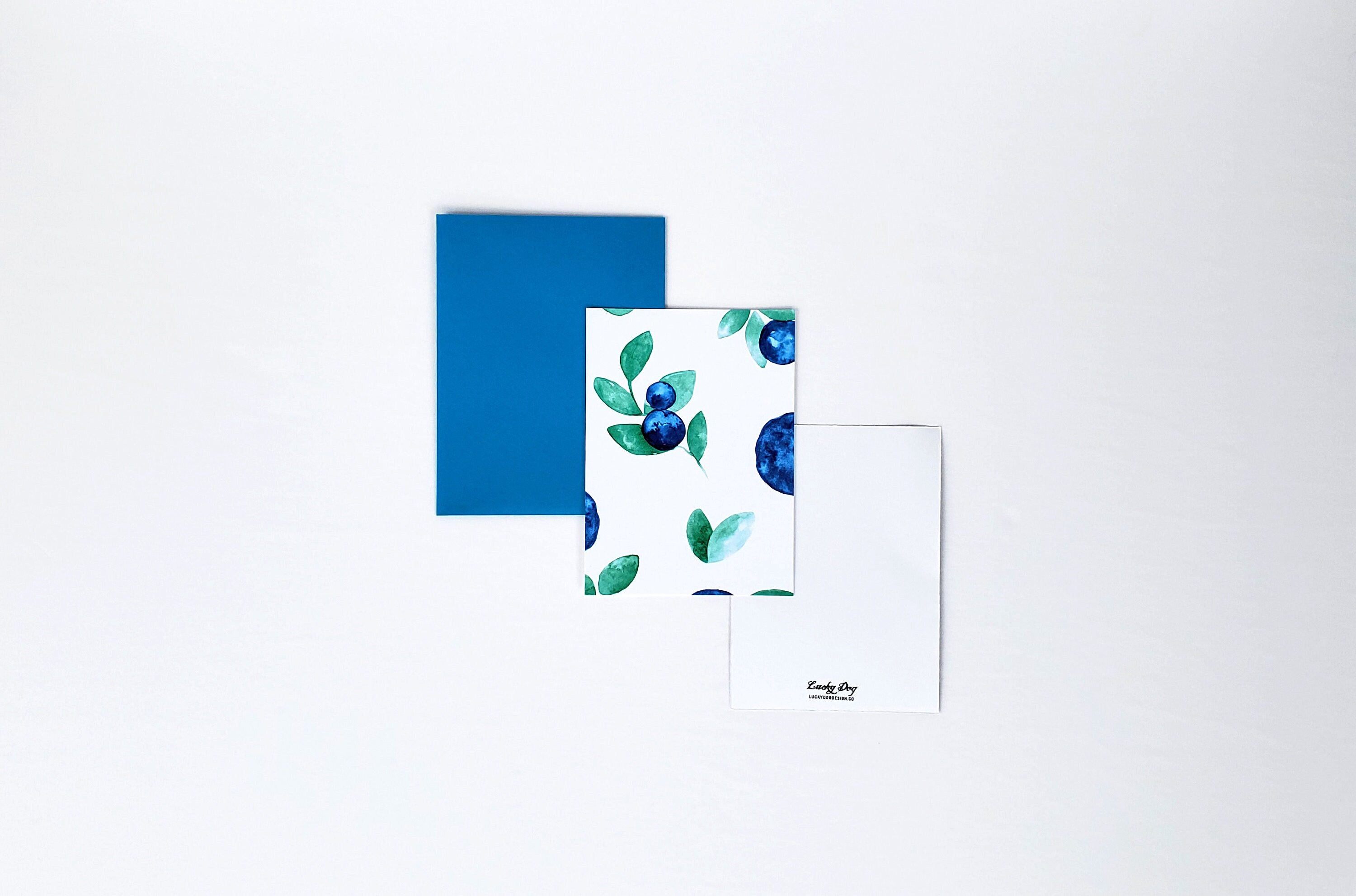 Blueberry Paradise Illustrated Mini Greeting Card Pack With Envelopes ...
